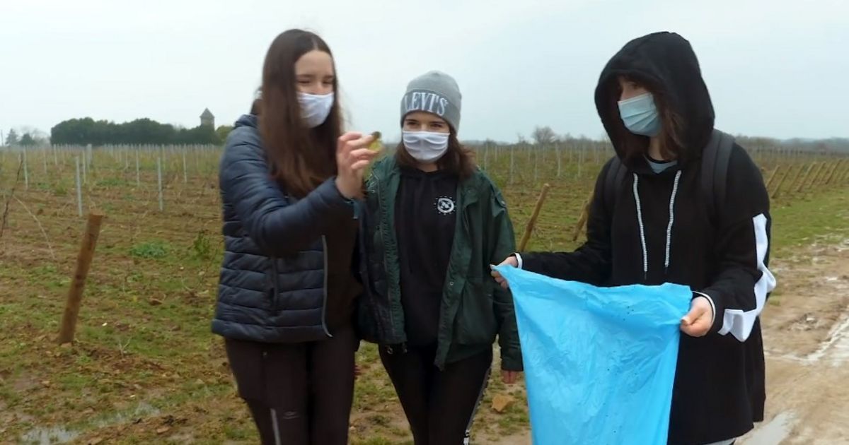 Des actions éducatives pour aller plus loin | Région Pays de la Loire